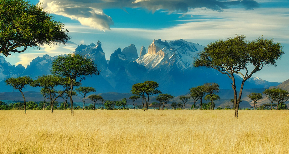 Kenya Visa for Saudi Arabia citizen in June 2025 | eTA Requirements ...